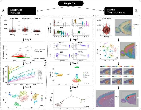 OmicsSuite多组学大数据分析及可视化程序阶段总结 - 知乎