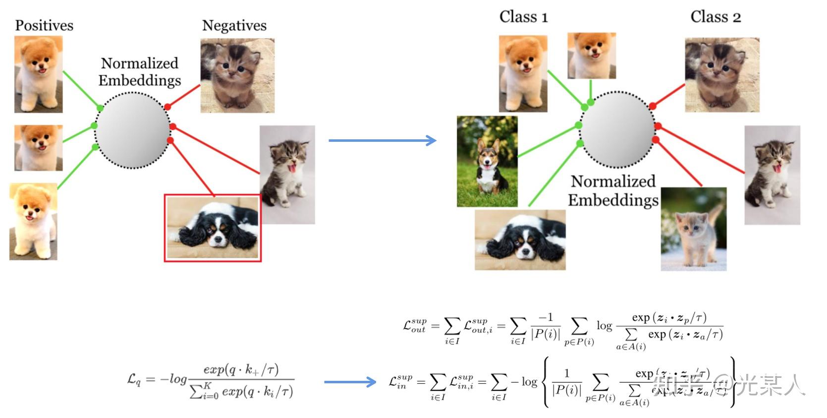 对比学习（Contrastive Learning）综述 - 知乎
