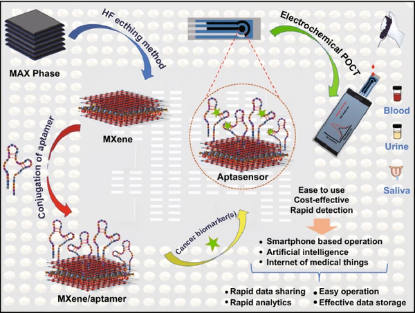 NML综述：用于即时癌症诊断的下一代MXene基智能电化学适配体传感器 - 知乎