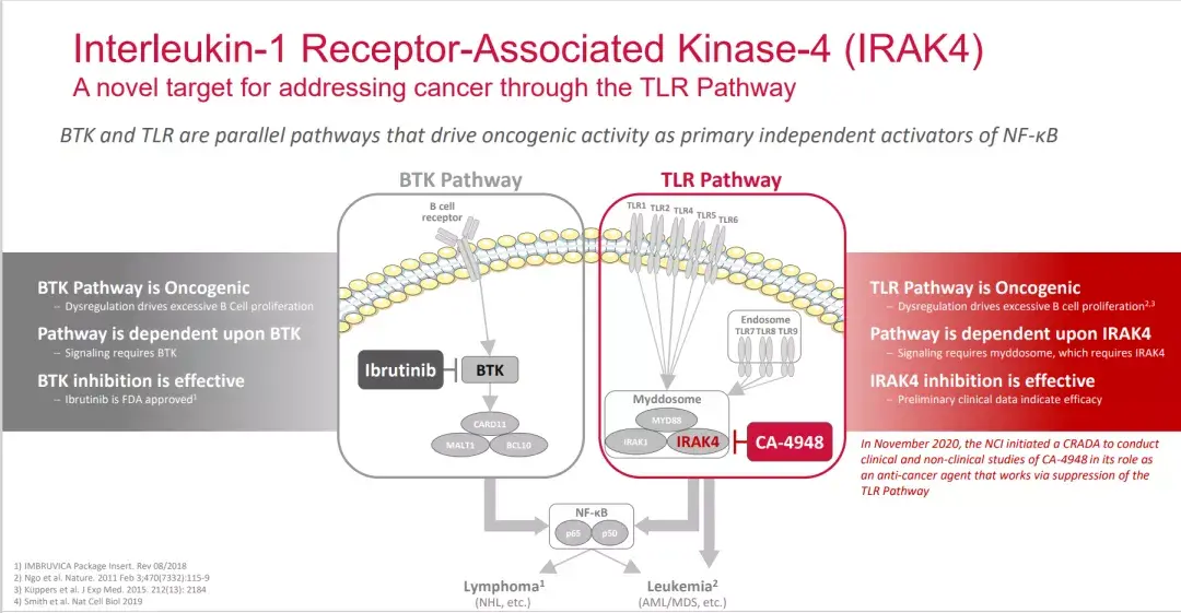 IRAK4：自身免疫性疾病和肿瘤免疫双料靶点 - 知乎