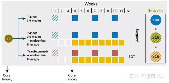 记首个靶向HER2的抗体药物偶联物T-DM1的彪悍“药”生 - 知乎