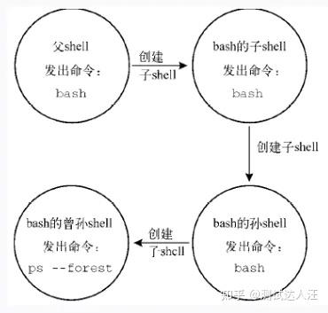 Shell基础— Bash的特殊符号 - 知乎