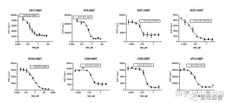 《爱求索》PROTAC平台之HiBiT - 知乎
