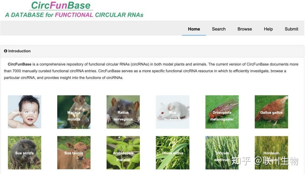必须收藏的几个好用的circRNA数据库 - 知乎