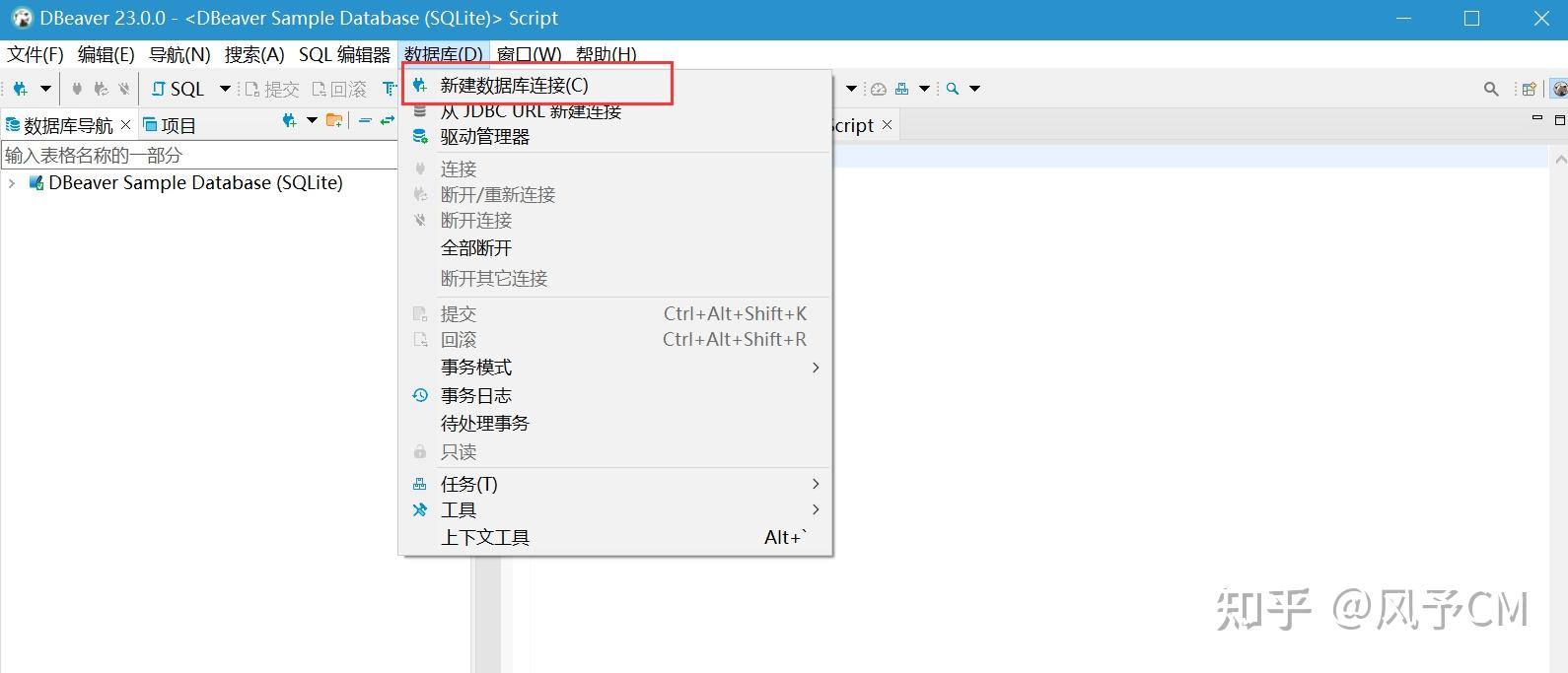 工具 | DBeaver连接达梦DM数据库及配置 - 知乎