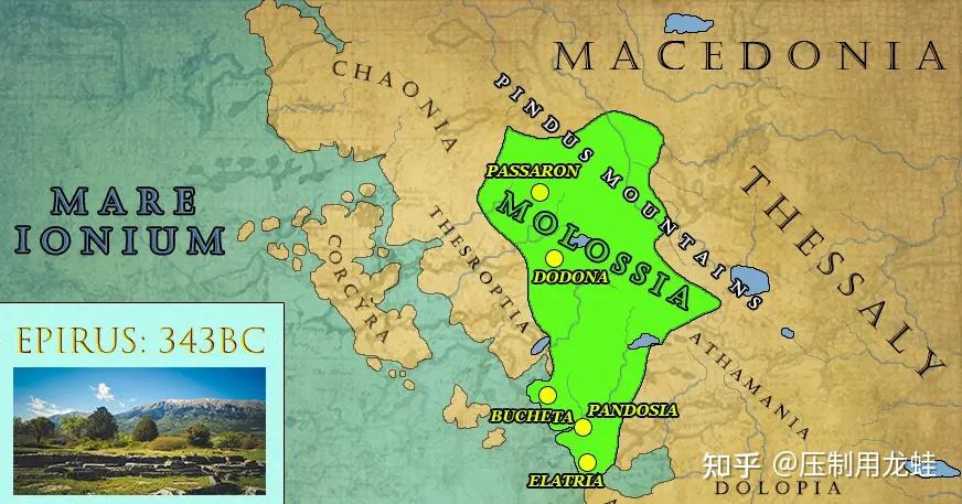 罗马2全面战争兵种介绍——断矛之鐏，折翼雄鹰伊庇鲁斯本族步兵 - 知乎