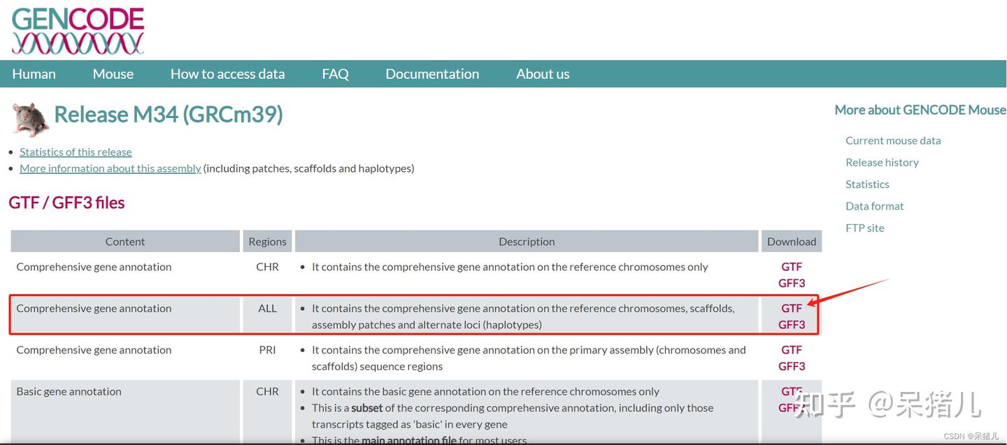 零基础入门转录组下游分析——数据处理（自测序数据）