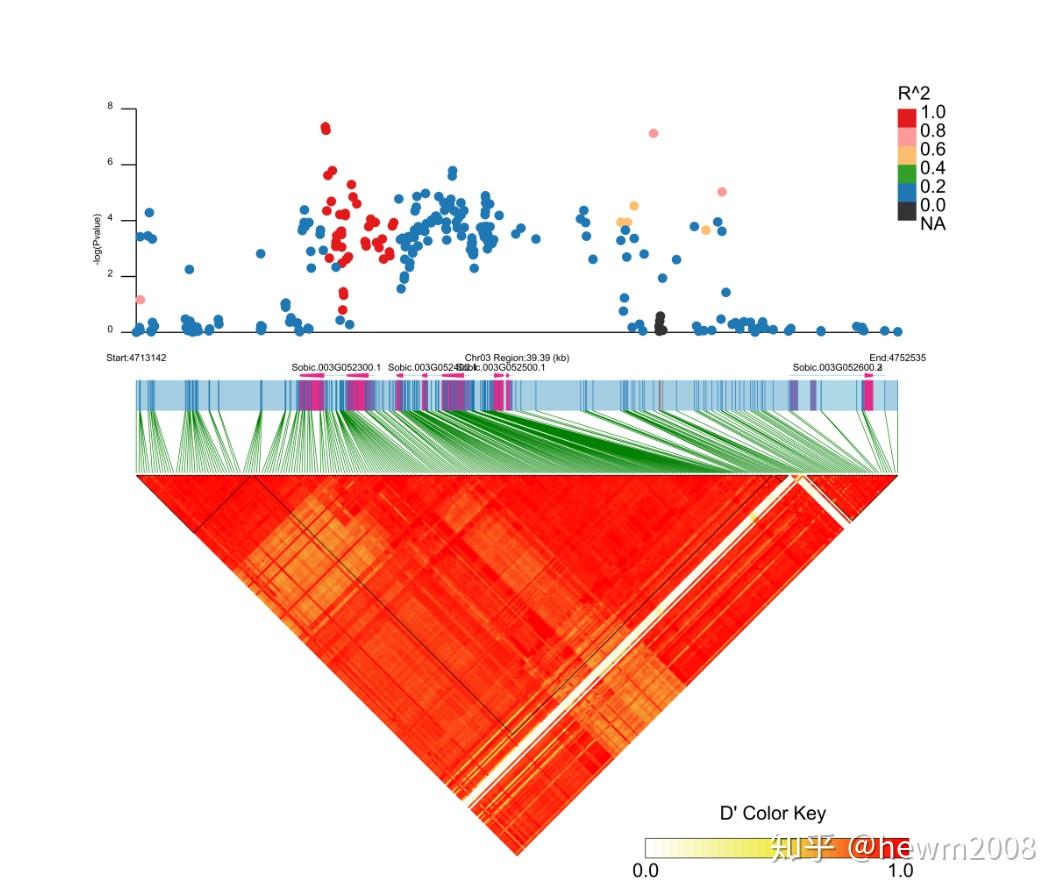 连锁不平衡LD (popLDdecay+ LDBlockShow) - 知乎