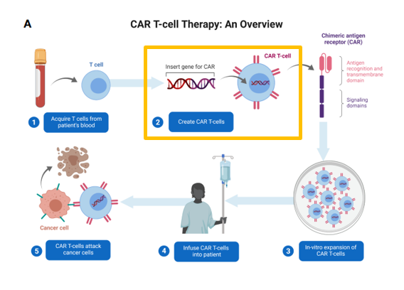 干货分享 | 可复制型慢病毒RCL检测 - 知乎