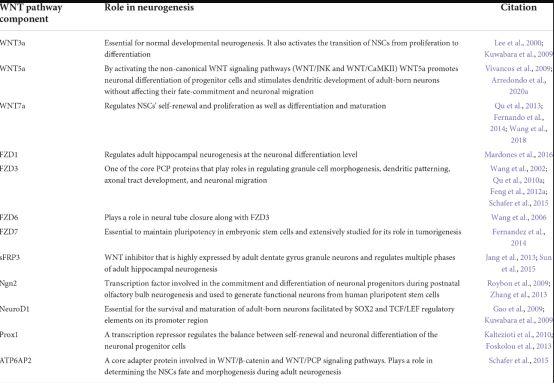 Front.mol neurosci-神经发生和脑肿瘤发生的WNT信号传导 - 知乎