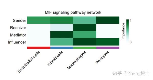 细胞通讯分析（单细胞测序）———CellChat（Homo、Mus） - 知乎
