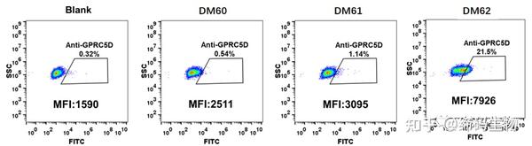 肿瘤免疫靶点 | GPRC5D - 知乎