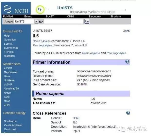 一步一步教你使用 NCBI 查找DNA、mRNA、cDNA、引物设计、BLAST 序列比对等 - 知乎