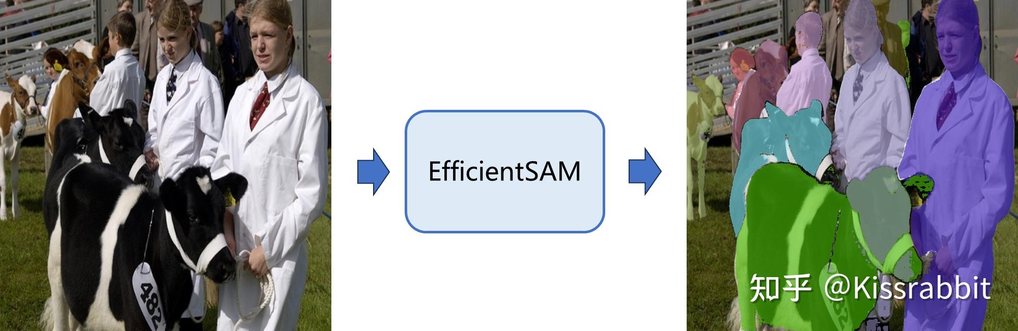 《视觉Backbone探索》-第4章-浅析EfficientSAM中的关键技术：SAMI预训练框架 - 知乎