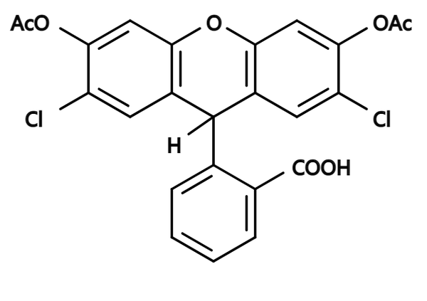 DCFH-DA探针检测细胞ROS - 知乎