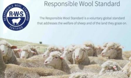 RWS认证的衡量标准是什么 - 知乎