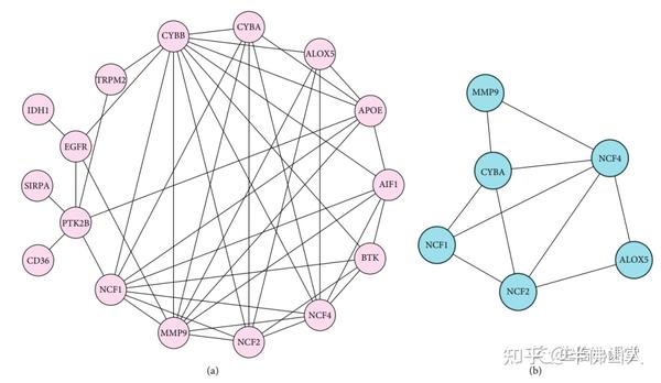 最新7.3分非肿瘤生信，热点基因集+免疫浸润+WGCNA+调控网络+单细胞+实验验证，值得收藏！ - 知乎