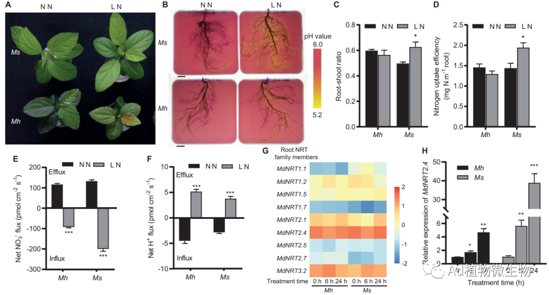 Journal of Experimental Botany | 中国农大研究揭示根际微生物促进氮吸收的机制！ - 知乎