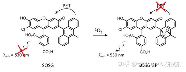 单线态氧荧光探针(SOSG、ABDA、DPBF、TEMP) - 知乎