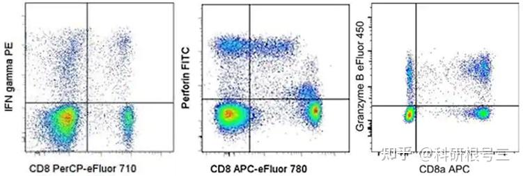 全攻略 | T细胞研究的流式解决方案 - 知乎