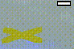 超分子顶尖大牛Samuel Stupp院士《自然·材料》：智能软机器人！ - 知乎