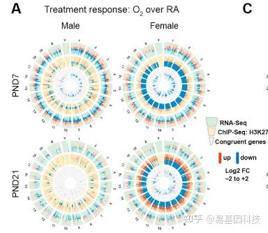 ChIP-seq应用领域、研究思路、数据挖掘、下游实验、实验关键 | 易讲堂 - 知乎