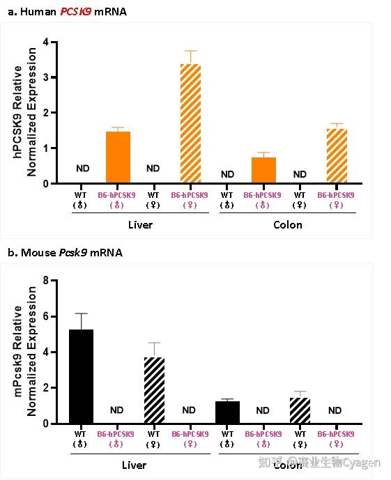 重磅收购&新适应症，PCSK9热度不减，新款人源化小鼠（5’UTR~3’UTR）满足各类疗法研究需求 - 知乎