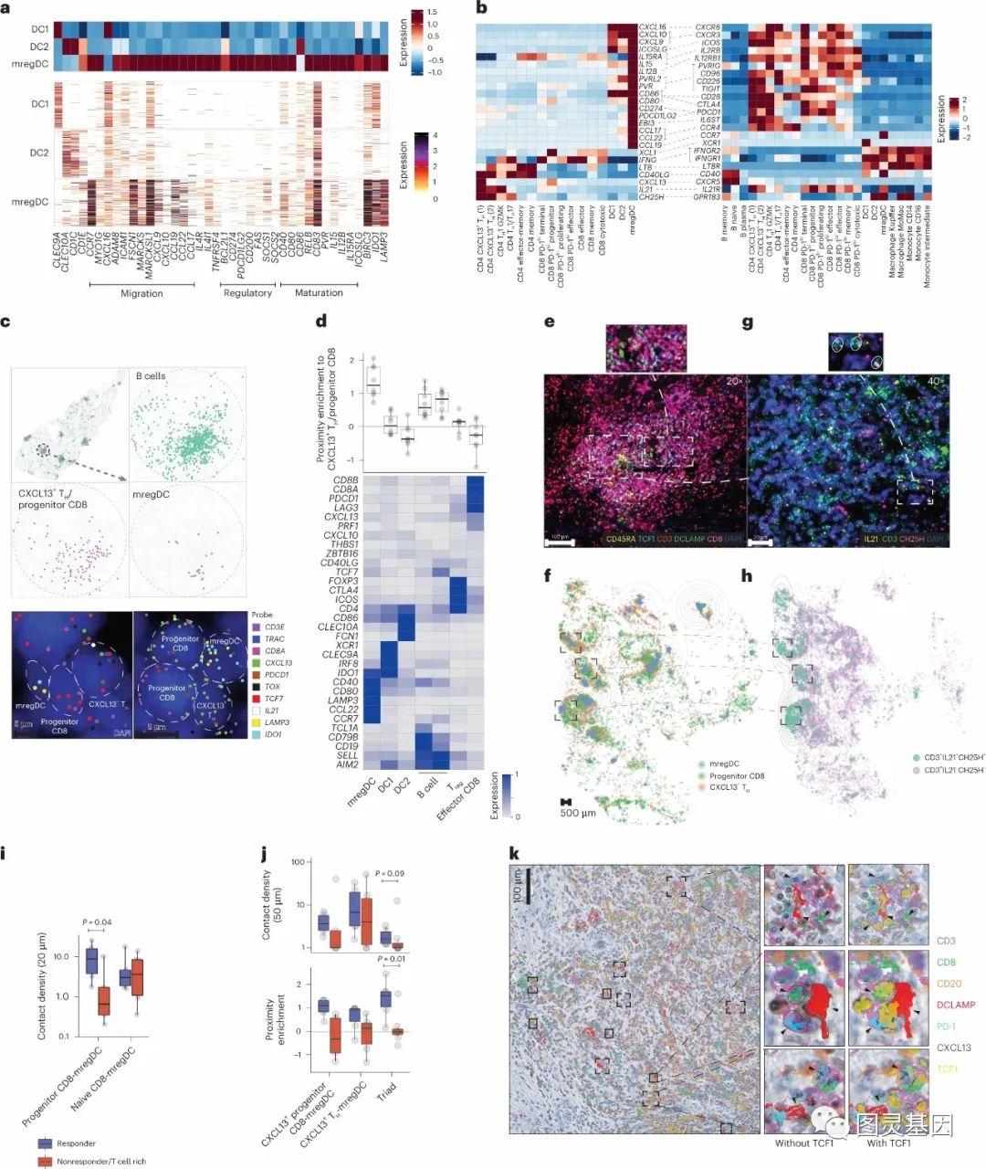 Nat Med | 美国免疫学美女院士：预测PD-1阻断疗效指征与机制 - 知乎