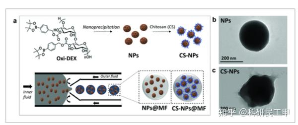 pH与活性氧-按序响应纳米微量复合在炎症性肠病靶向治疗中的应用 - 知乎