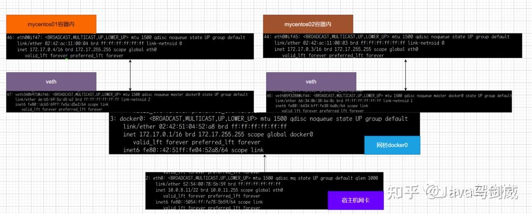 Docker中的bridge模式,你可以这样设置! 知乎