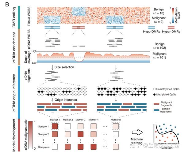 Mol Cancer. |乳腺癌中血浆cfDNA甲基化biomarkers结合成像技术可提升早诊准确率 - 知乎