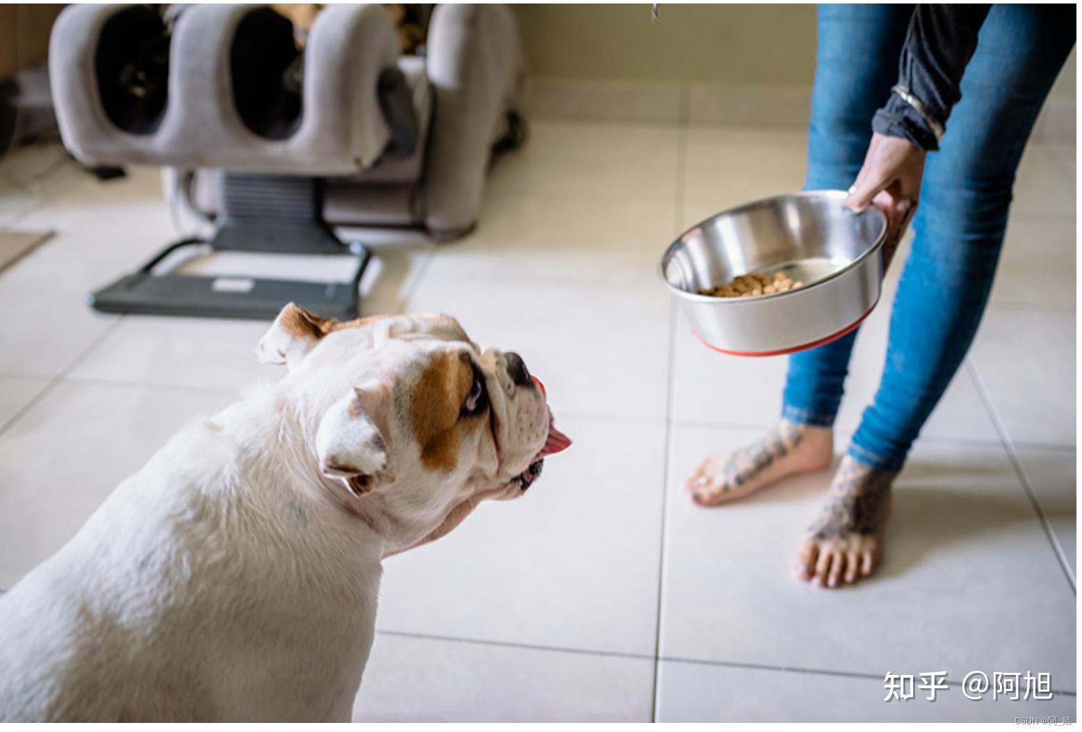 【CV大模型SAM（Segment-Anything)】如何一键分割图片中所有对象？并对不同分割对象进行保存？ - 知乎