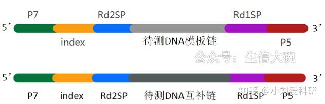 你真的搞懂测序技术了吗 ——第二代测序 - 知乎
