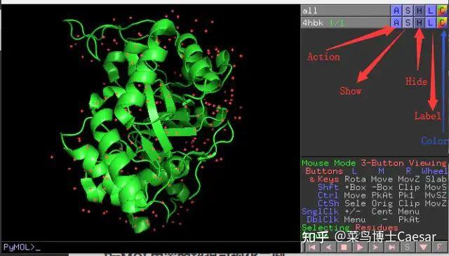 【分子动力学】PyMol入门教程 - 知乎