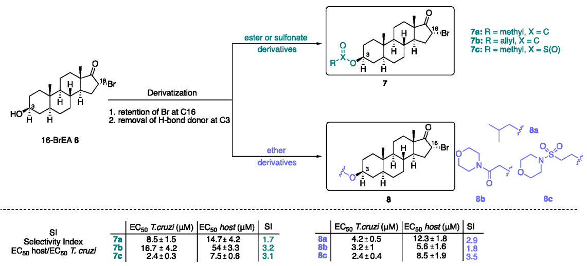 J. Med. Chem. | G6PD小分子抑制剂：抗肿瘤、抗炎和抗传染性疾病 - 知乎