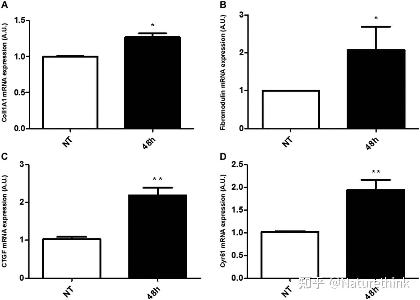 机械应变通过 RhoC/ROCK/MRTF-A 和 Erk1/2 信号通路在人二尖瓣膜间质细胞中诱导促纤维化表型 - 知乎
