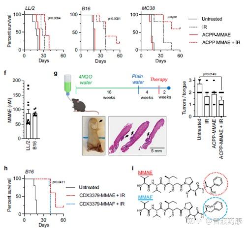 XDC药物最新研究进展 - 知乎