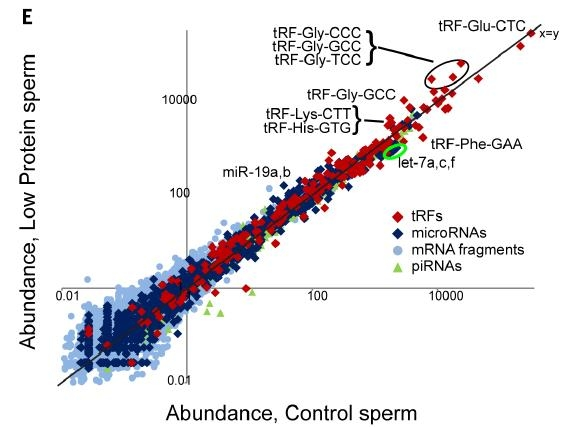 Pandora-Seq - 知乎