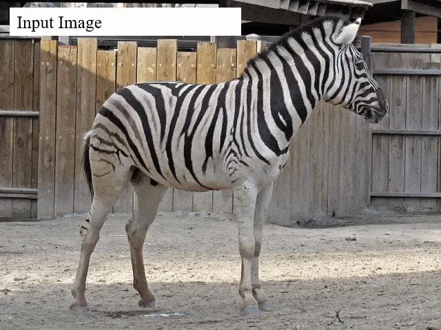 CVPR 2022 | SharpContour：一种基于轮廓变形 实现高效准确实例分割的边缘细化方法 - 知乎