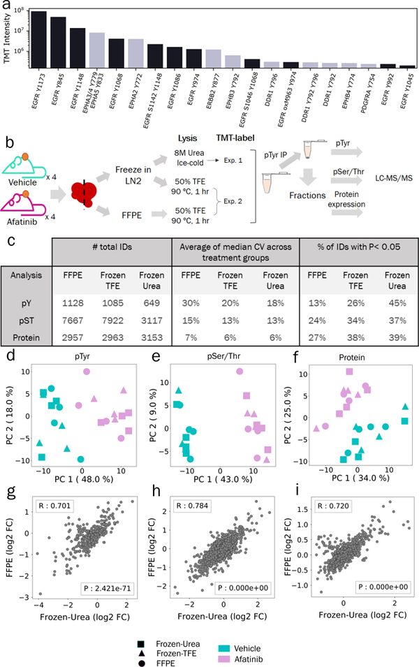 文献解读 | FFPE 样本磷酸化蛋白组学分析揭示肿瘤特异性信号网络 - 知乎