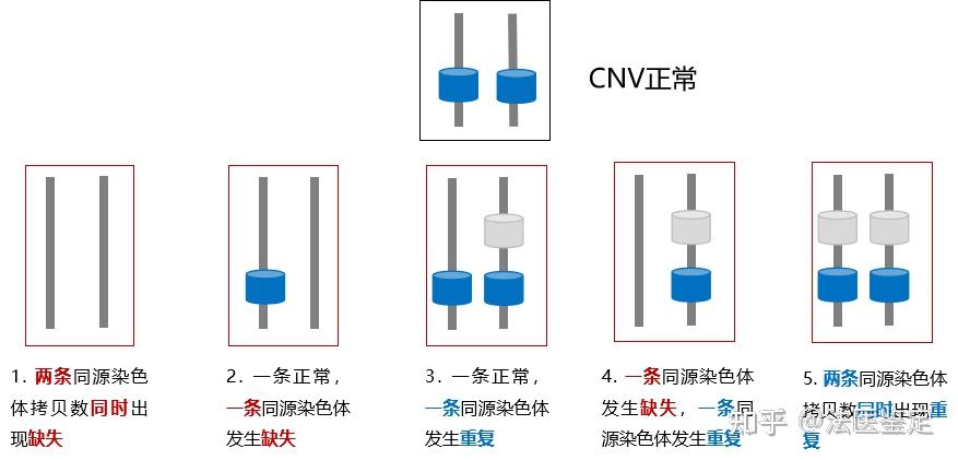 拷贝数变异CNV的生物信息学分析（一） - 知乎
