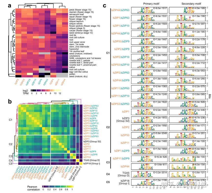 利用dDAP-seq技术解析转录因子的DNA结合特性 - 知乎