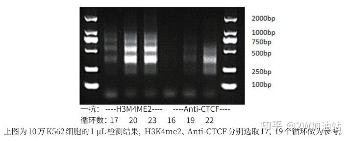 Cut&Tag操作方法Protocol（超详细含试剂配制） - 知乎