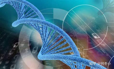 nmn是什么样的产品？吃nmn一年后对比照片？一起来了解一下 - 知乎