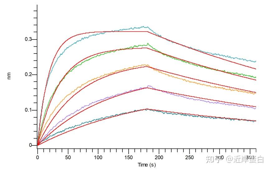 GDF-8（肌肉生长抑制素）靶点解析 - 知乎