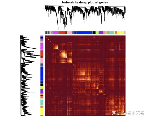 TCGA 数据分析实战 —— WGCNA - 知乎