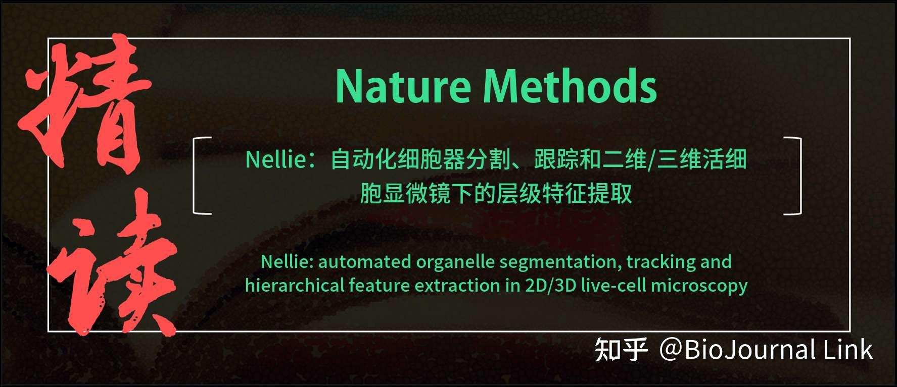 生物图像 | Nat.Methods | Nellie：自动化细胞器分割、跟踪和二维/三维活细胞显微镜下的层级特征提取 - 知乎