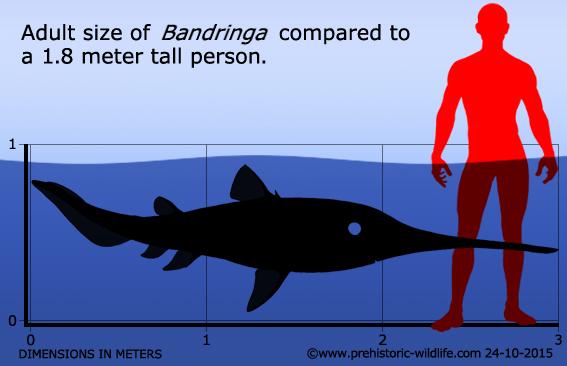【地球演义】鲛腾记3：齿 - 知乎