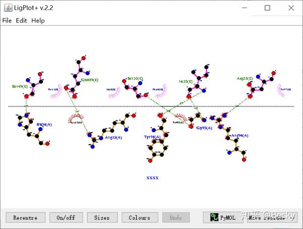 蛋白-蛋白作用分析so easy - Ligplot+ - 知乎