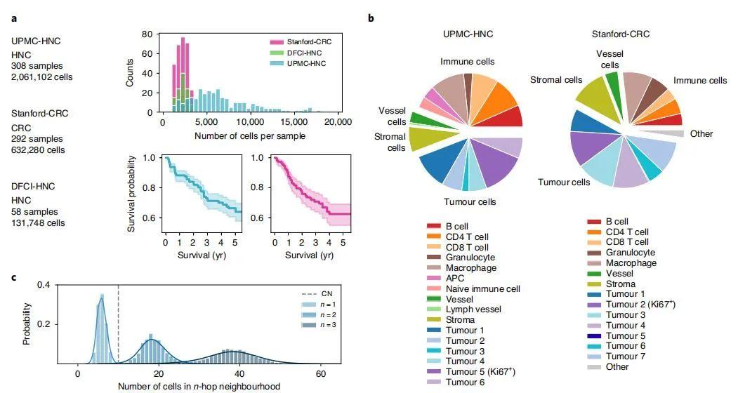 Nat Biomed Eng | AI通过组织样本空间蛋白质谱表征肿瘤微环境 - 知乎